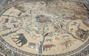THE PAPHOS MOSAICS - Cyprus Traveller Guide