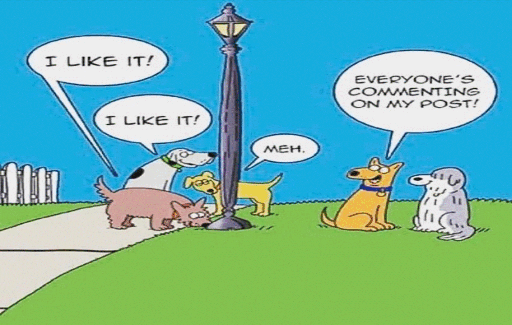 FUNNY STORIES, JOKES & ANECDOTES - Cyprus Traveller Guide